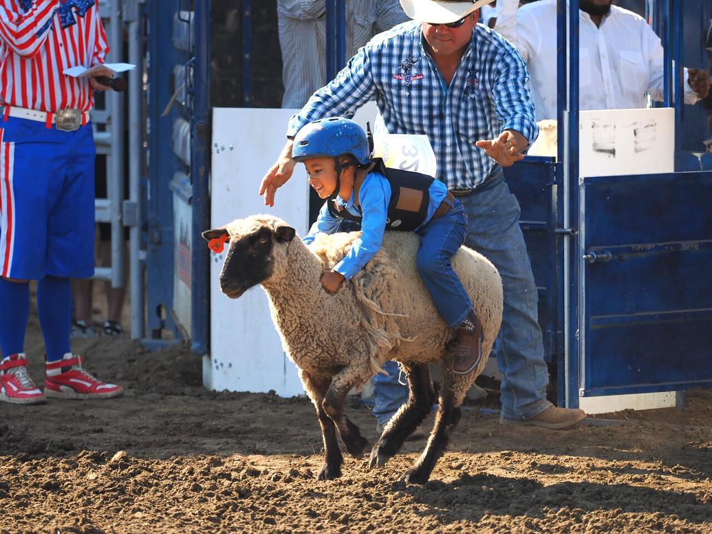 Mutton Bustin' at the Marysville Stampede | Local News | appeal ...