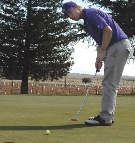 Los Molinos' Mathues medalist at first MVL golf match | Sports | appeal ...