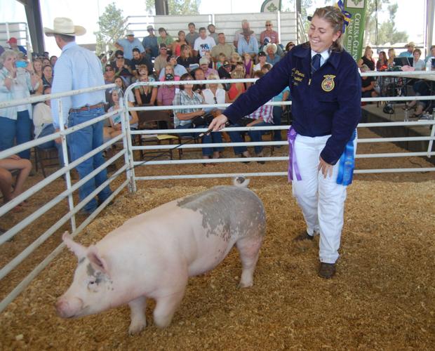 Colusa County Fair starts its run Thursday | Colusa Sun Herald | appeal ...