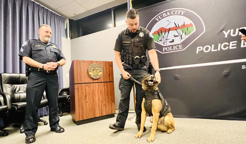 Dickey Foundation donates new protective vests to Yuba City PD K9s ...