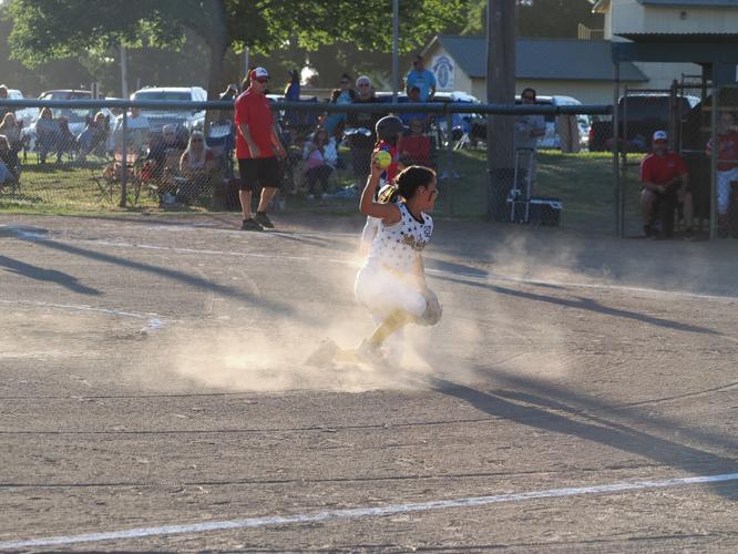 District 2 champions: Section 2 Little League tournament begins ...
