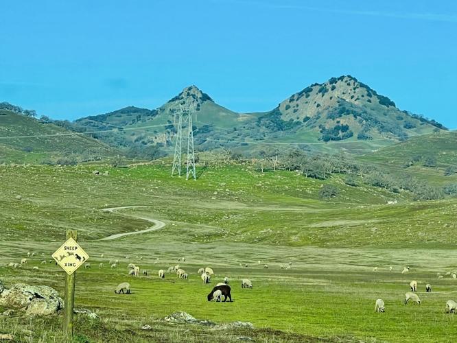 Sacred pastures: A day at the Dean Place in the Sutter Buttes ...