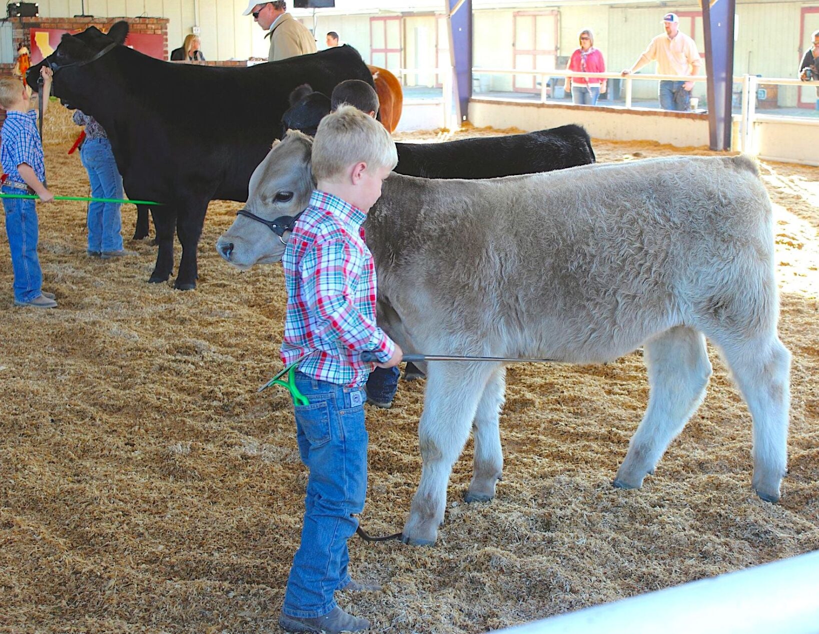 Glenn County Fair highlights country fun | Corning Observer | appeal ...