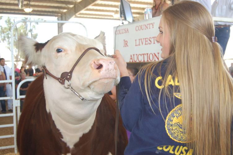 Colusa County Fair: Abracadabra! Fair conjures up unprecedented turnout ...