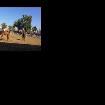 Overall, rodeo called a good ride | News | appeal-democrat.com