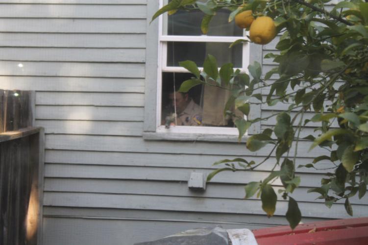 Bear takes a stroll around Colusa; animal is safely removed without ...