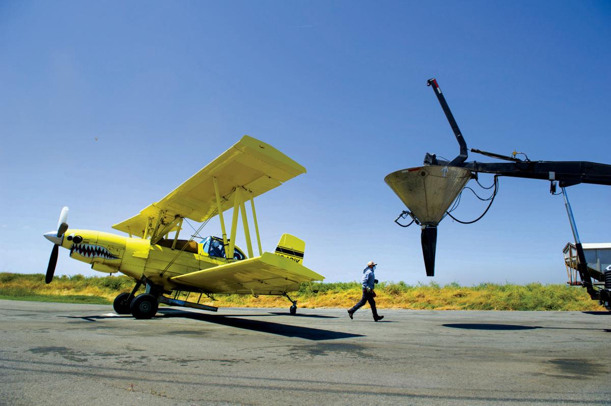 When you least expect it: A buzz | News | appeal-democrat.com