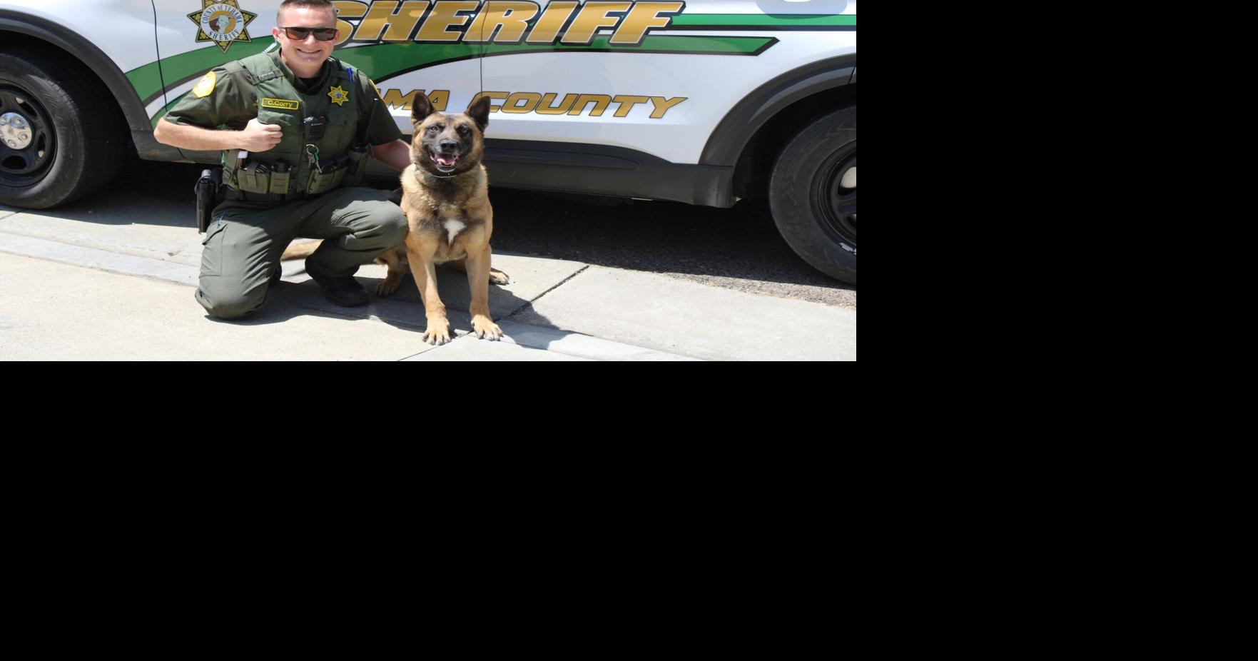 Corning police canine patrol vehicle follows Blaze, Corry to sheriff's ...