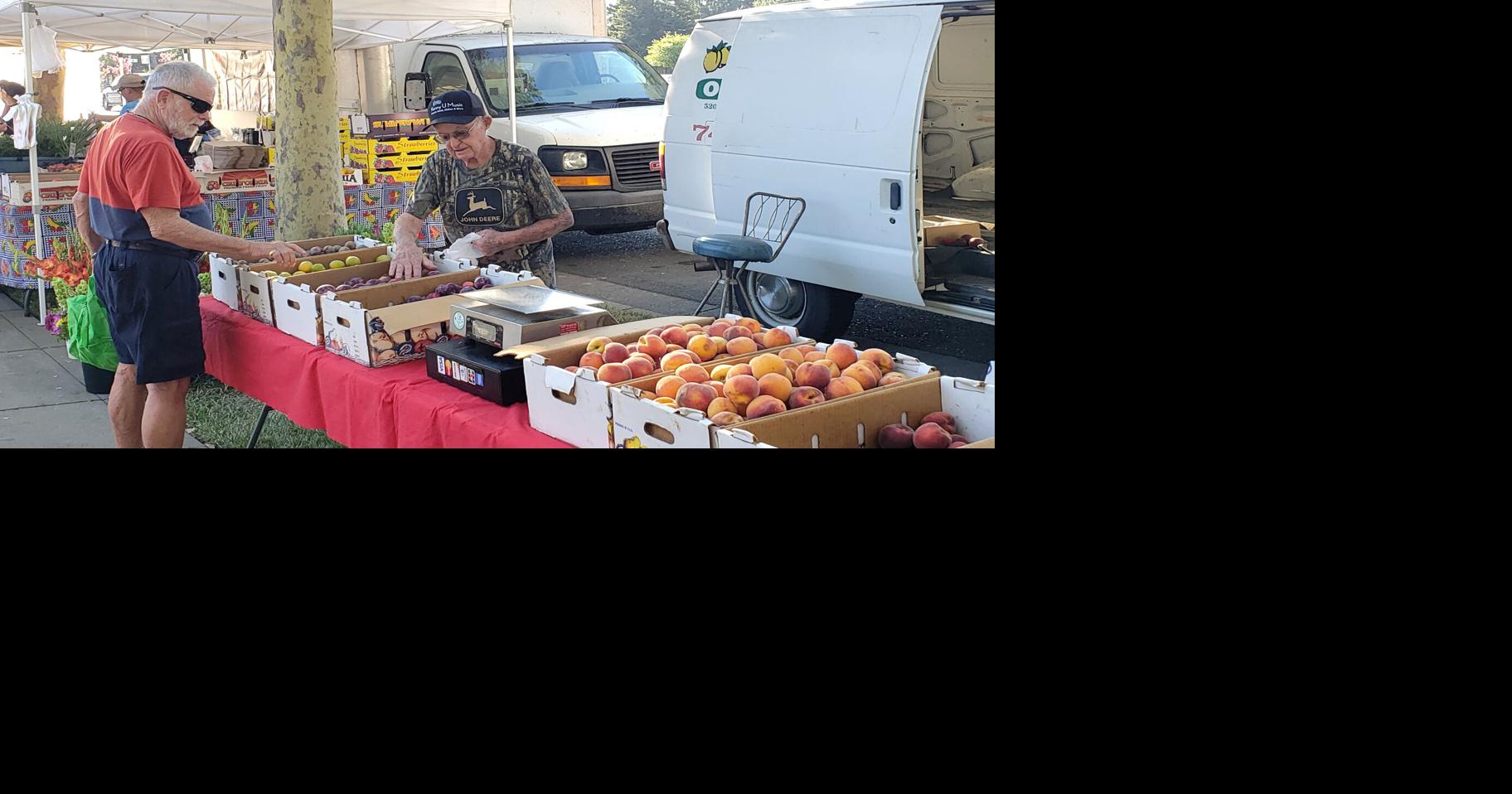 ‘It has been a blessing’: P & B Orchards owner Paul Davis reflects on ...