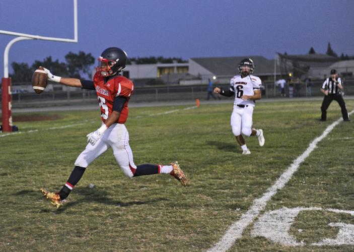 ‘Hawks stave off resilient Blazers | Colusa Sun Herald | appeal ...