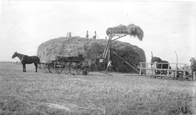 Looking back before leaping into the future | | appeal-democrat.com