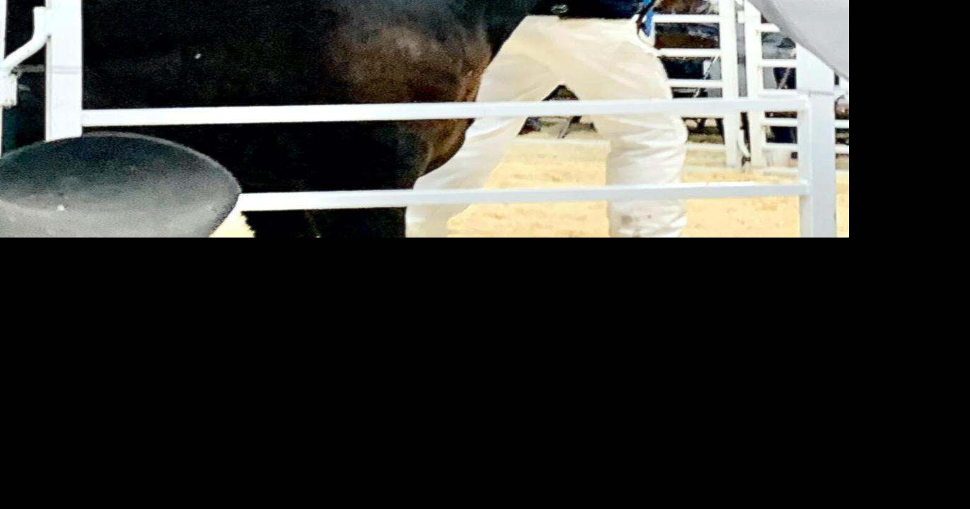 Cattle Corner - Homemade Beef Jerky is from California Beef Council ...