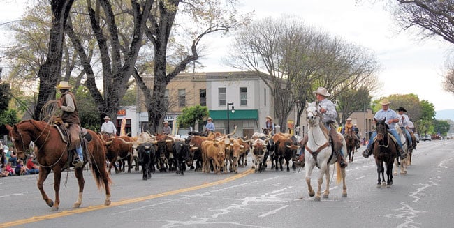 Colusa County Mounted Sheriff's Posse has rich, proud history ...