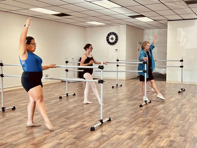 ‘Transitions are essential’: An introduction to Yuba City’s dragonfly ...