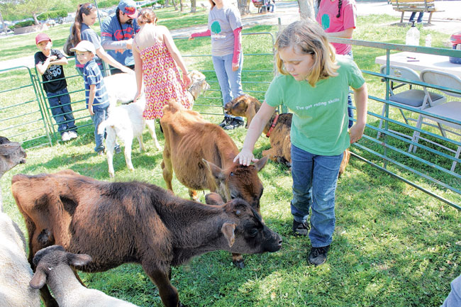 Fun, facts and fire at Family Faire | | appeal-democrat.com
