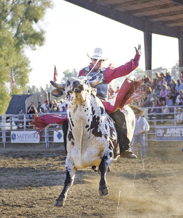 Us Profile: Hobbies, interests: ‘Rodeo – that’s all I do’ | News ...