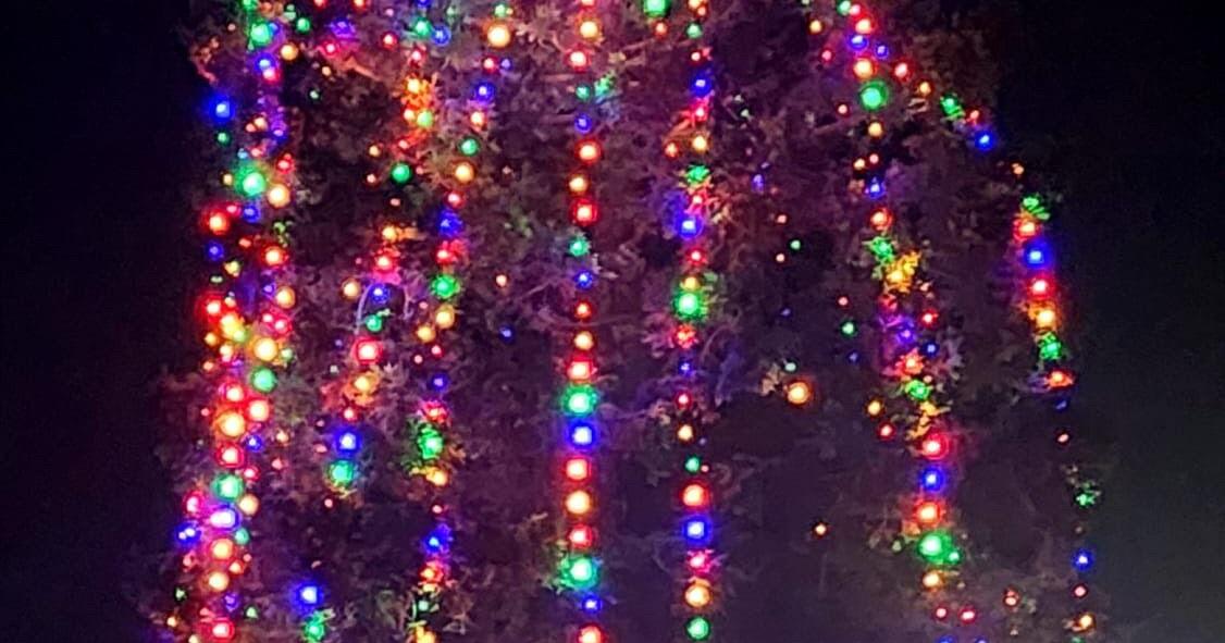 A Christmas tree lighting event in Olivehurst approaches | News ...