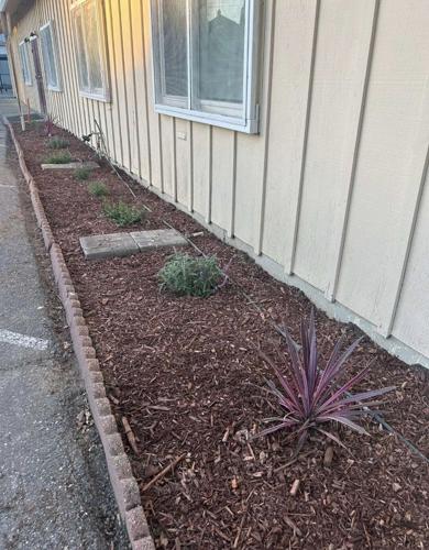 News from the Corning Senior Center | Corning Observer | appeal ...