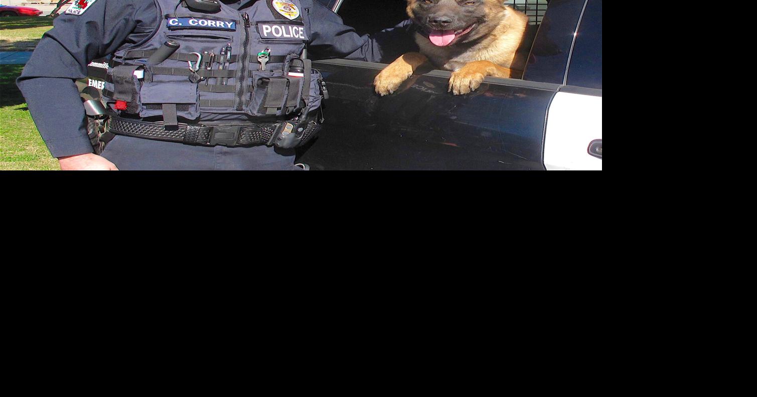 Corning police canine purchased by Tehama County Sheriff's Office ...