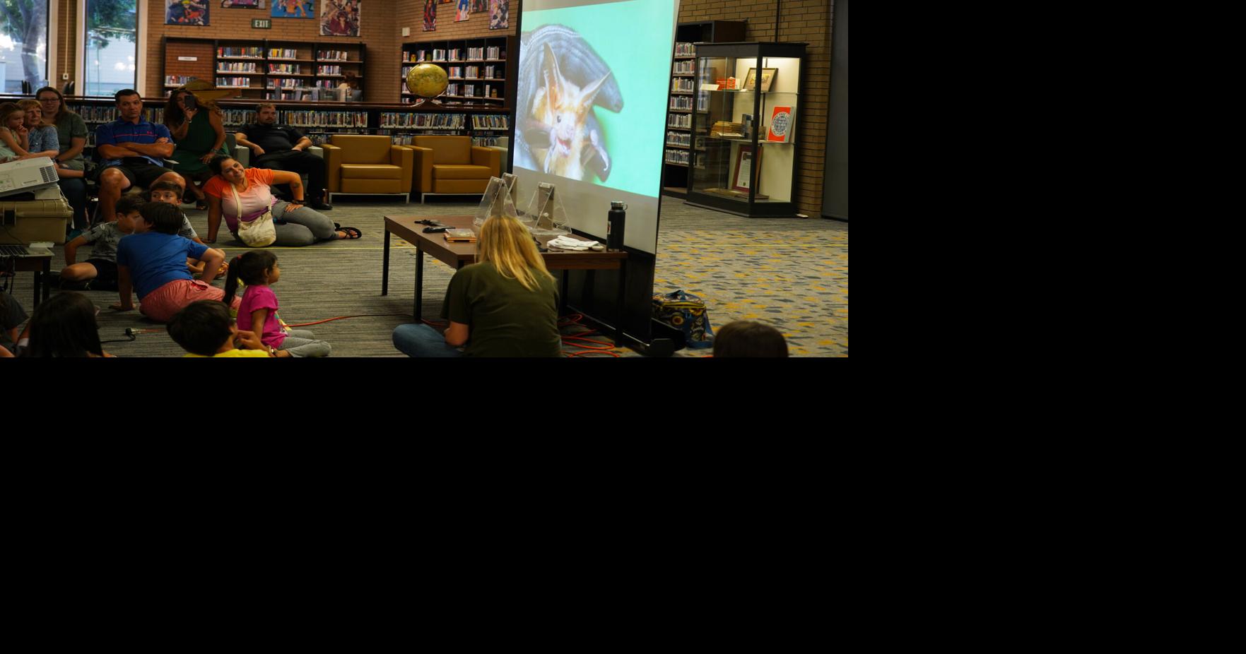 Bats get their moment at Sutter County Library | News | appeal-democrat.com