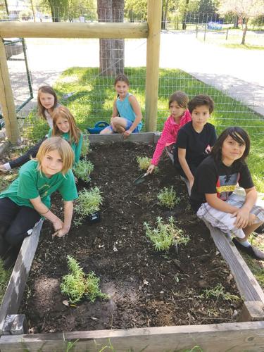Yuba Environmental Science Charter Academy Native Plant Trail ...