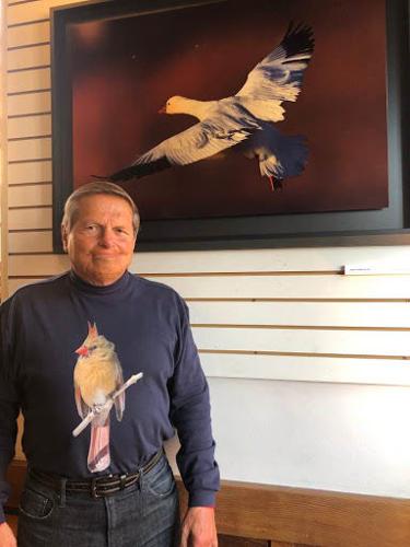 From aviation to avians: Photographer’s images take flight | News ...