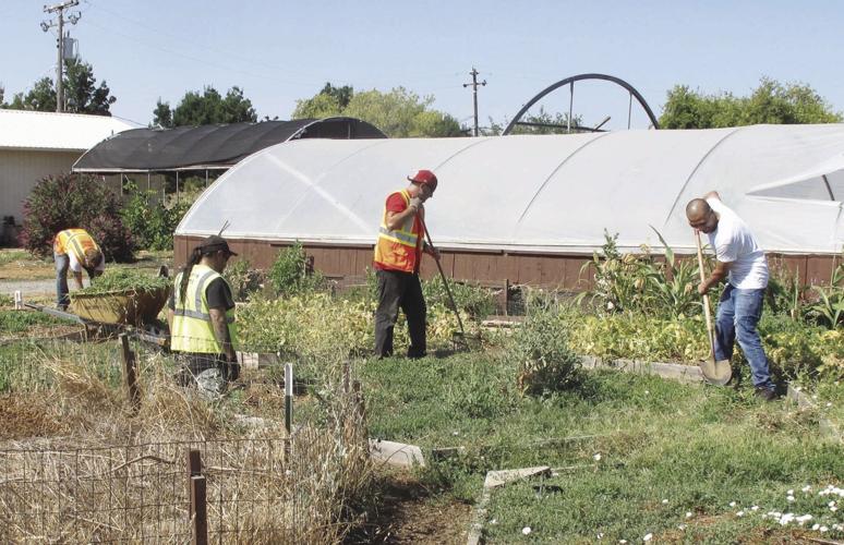 Inmate farm provides food and more in Red Bluff | Corning Observer ...
