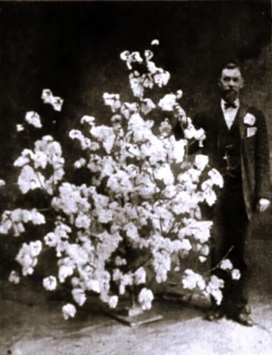 Opinion: Remembering J.B. Broadwell -- farmer, inventor, builder ...