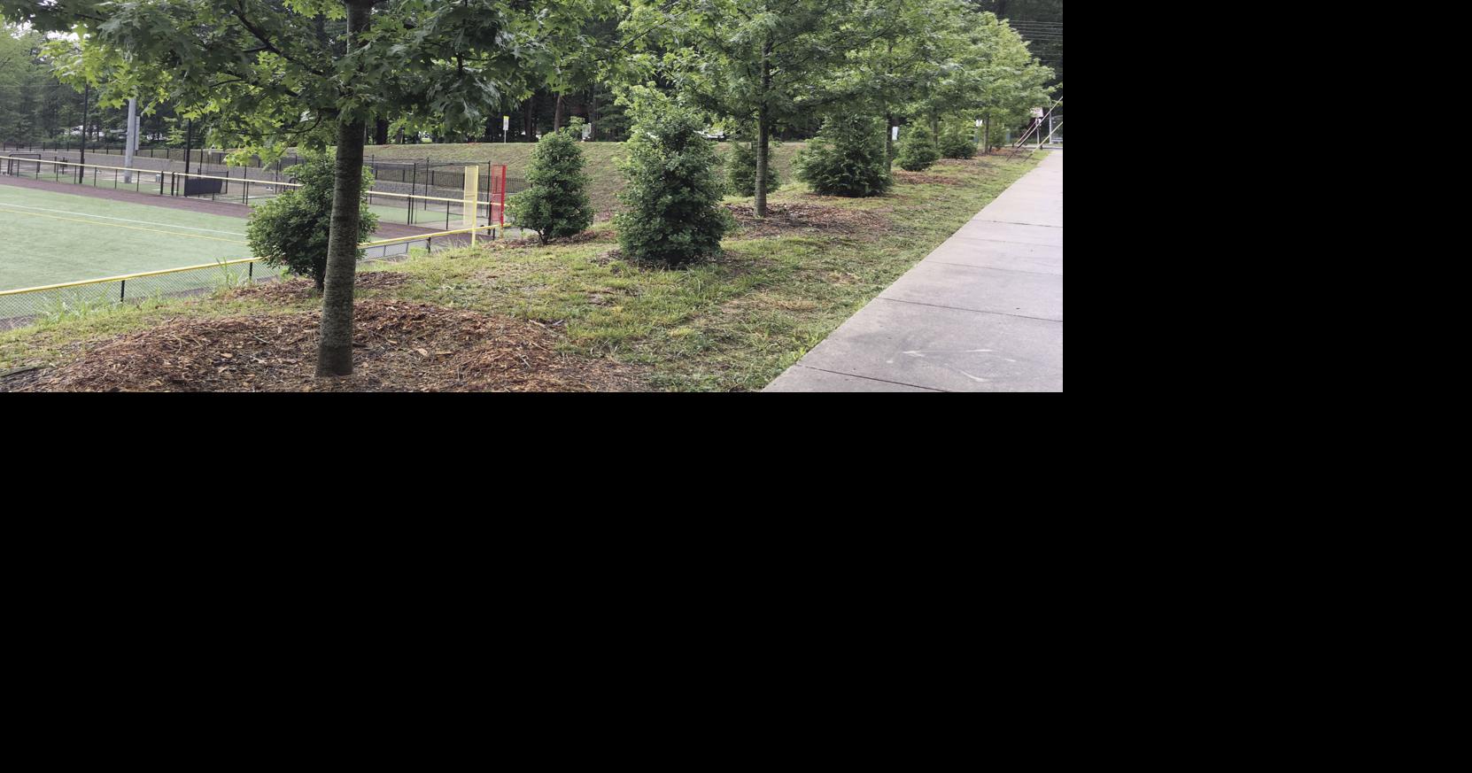 Brook Run baseball fields draw noise complaints | Dunwoody News ...