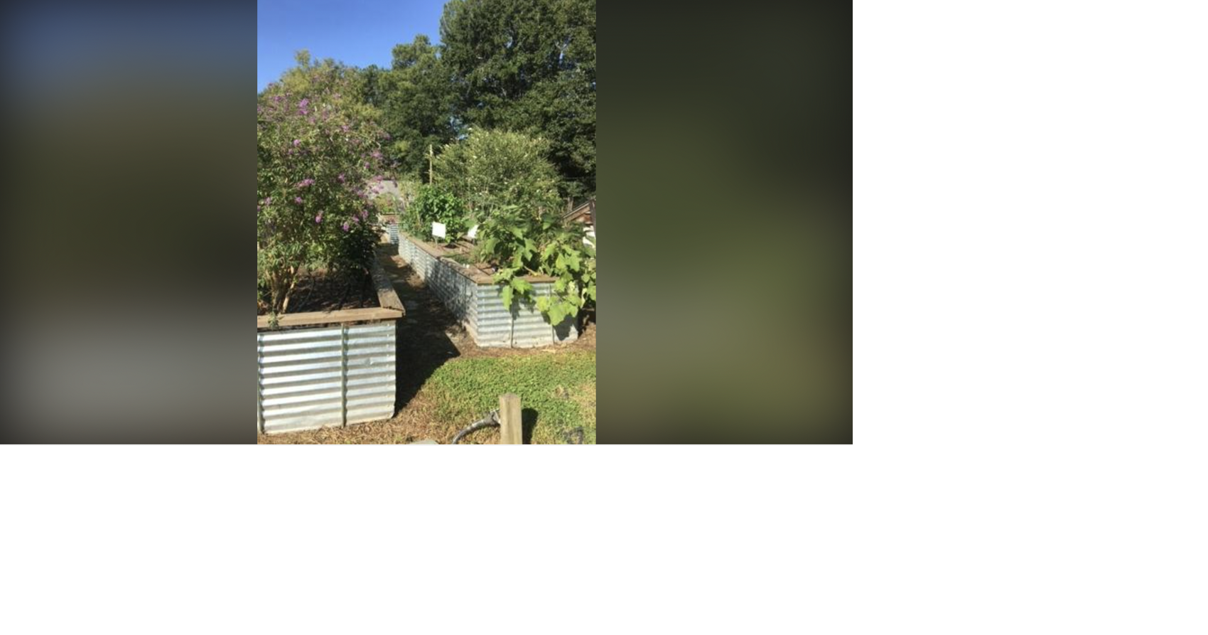 Opinion: Community gardens and agriculture create a fun way to grow ...