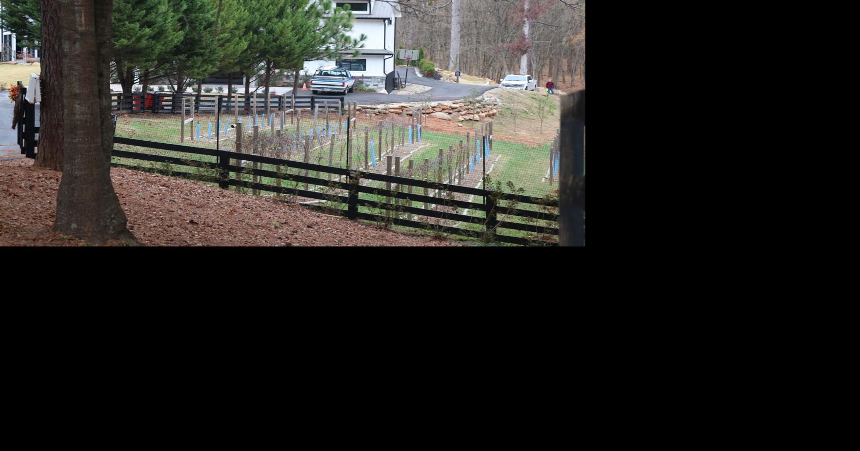 Milton winery hopefuls push hearing back to April | Milton News ...