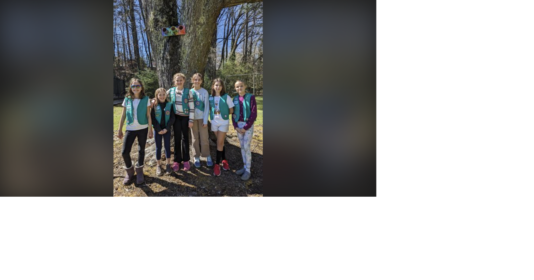 Dunwoody Girl Scouts gift bird houses to Vermack club | Dunwoody News ...