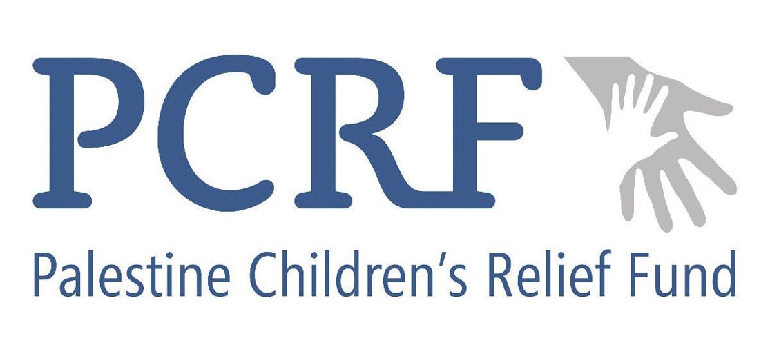 Forsyth mother leads group to aid sick, injured kids in Middle East ...