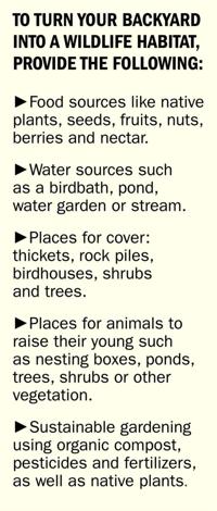 Roswell gets National Wildlife Federation habitat certification | News ...