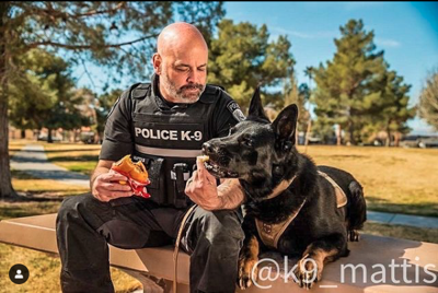 Dog with two tails: Alpharetta's K9 Mattis retires after 5 years ...