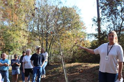 Milton to celebrate Earth Day at Milton City Park and Preserve | Milton ...