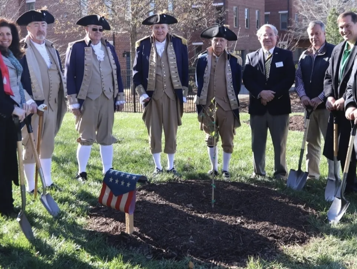 Roswell man’s Liberty Trees project sets goal of 250 elms before July 4 ...