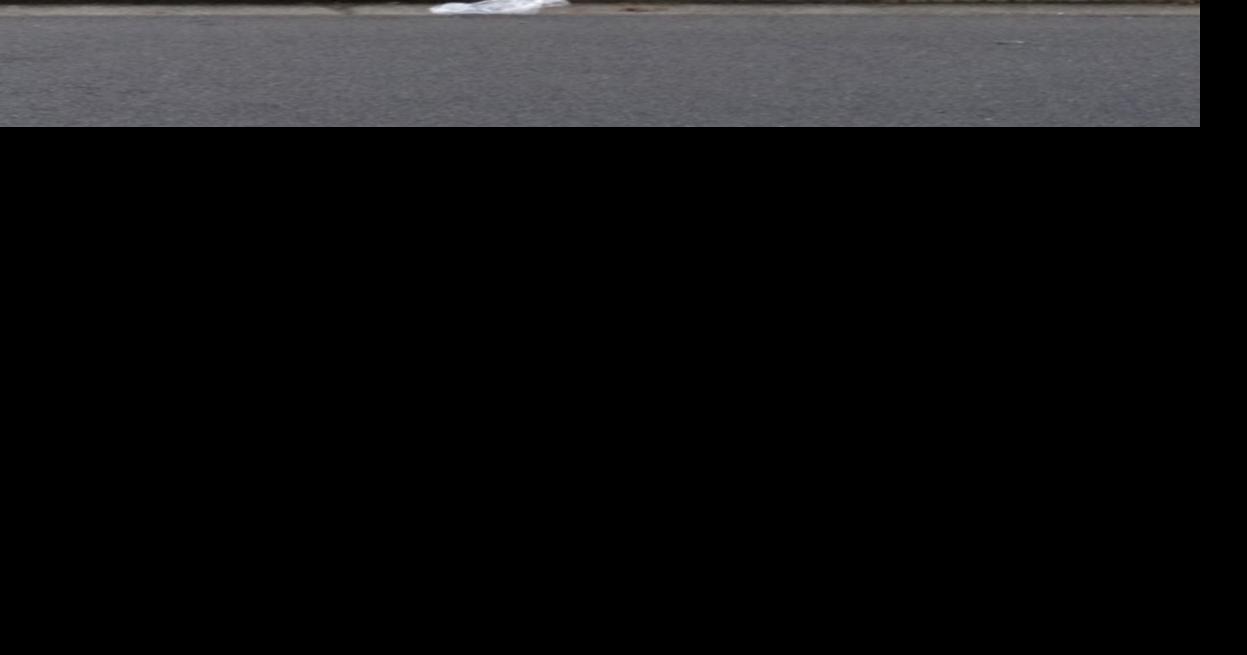 Speed, alcohol factors in morning crash at River Club in Cumming, Ga ...