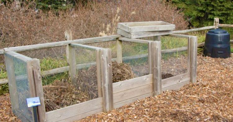 Opinion: The what, why and how of composting | Opinion | appenmedia.com