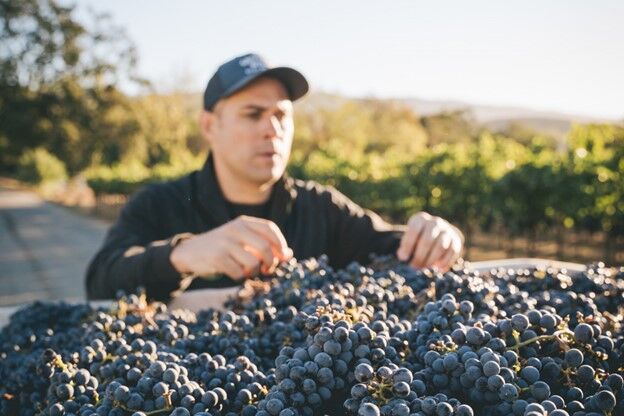 Exclusive wine tasting and dinner with Josh Phelps Celebrating Casa ...