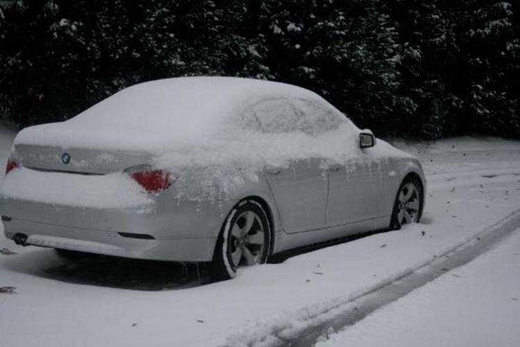 North Fulton's snow day | Archives | appenmedia.com