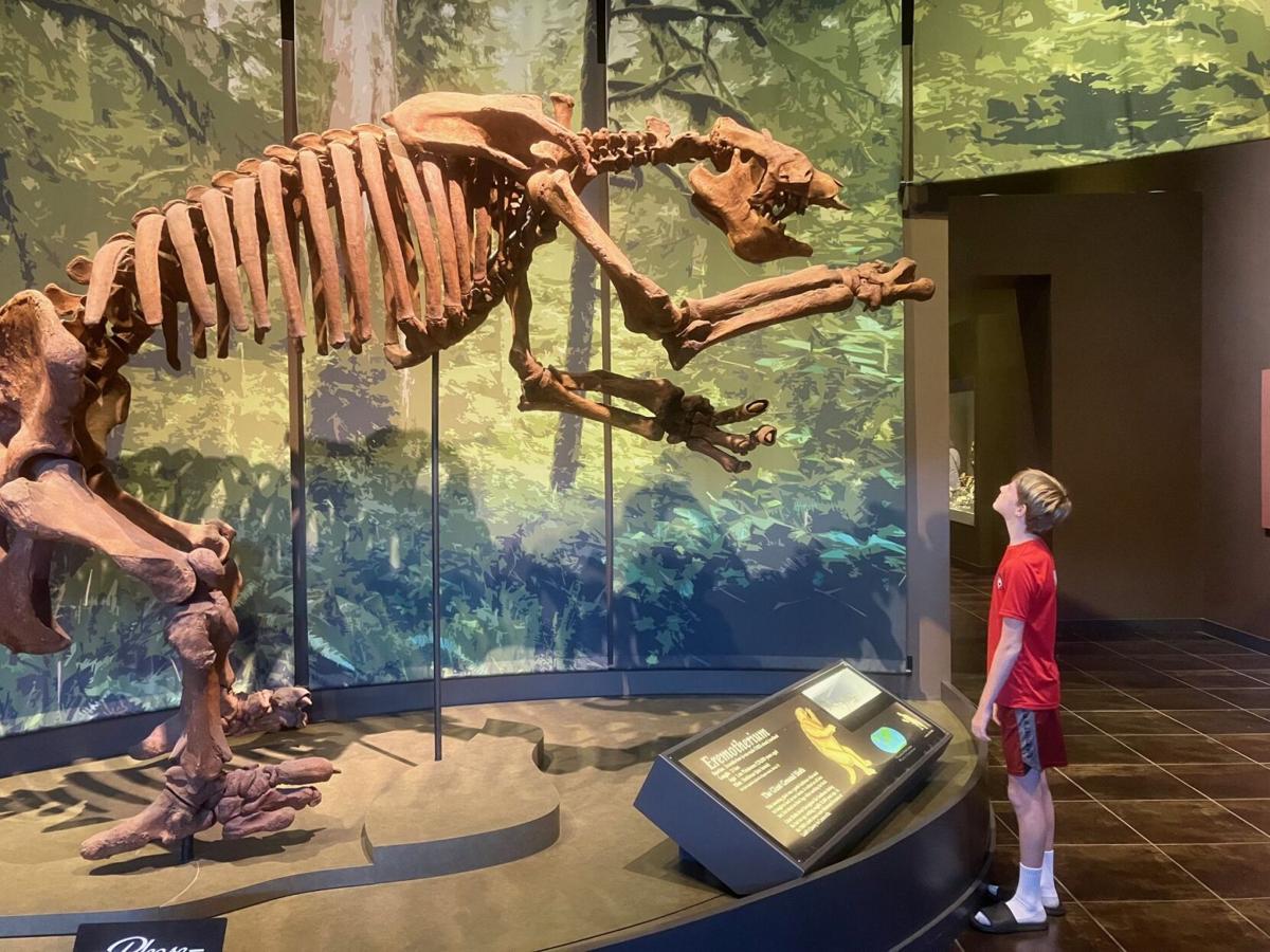 science museum inside