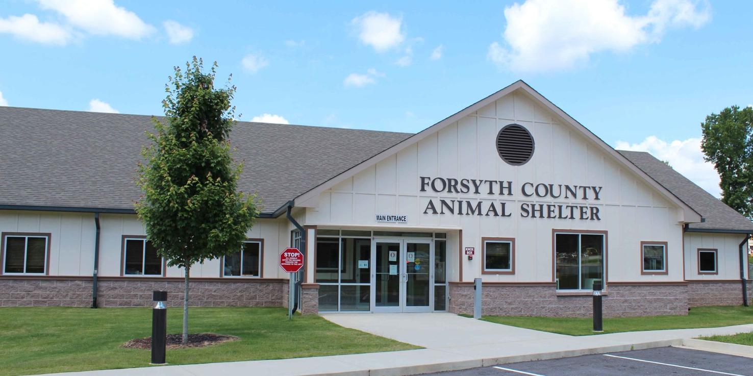 Forsyth County Animal Shelter marks one-year anniversary | Archives ...