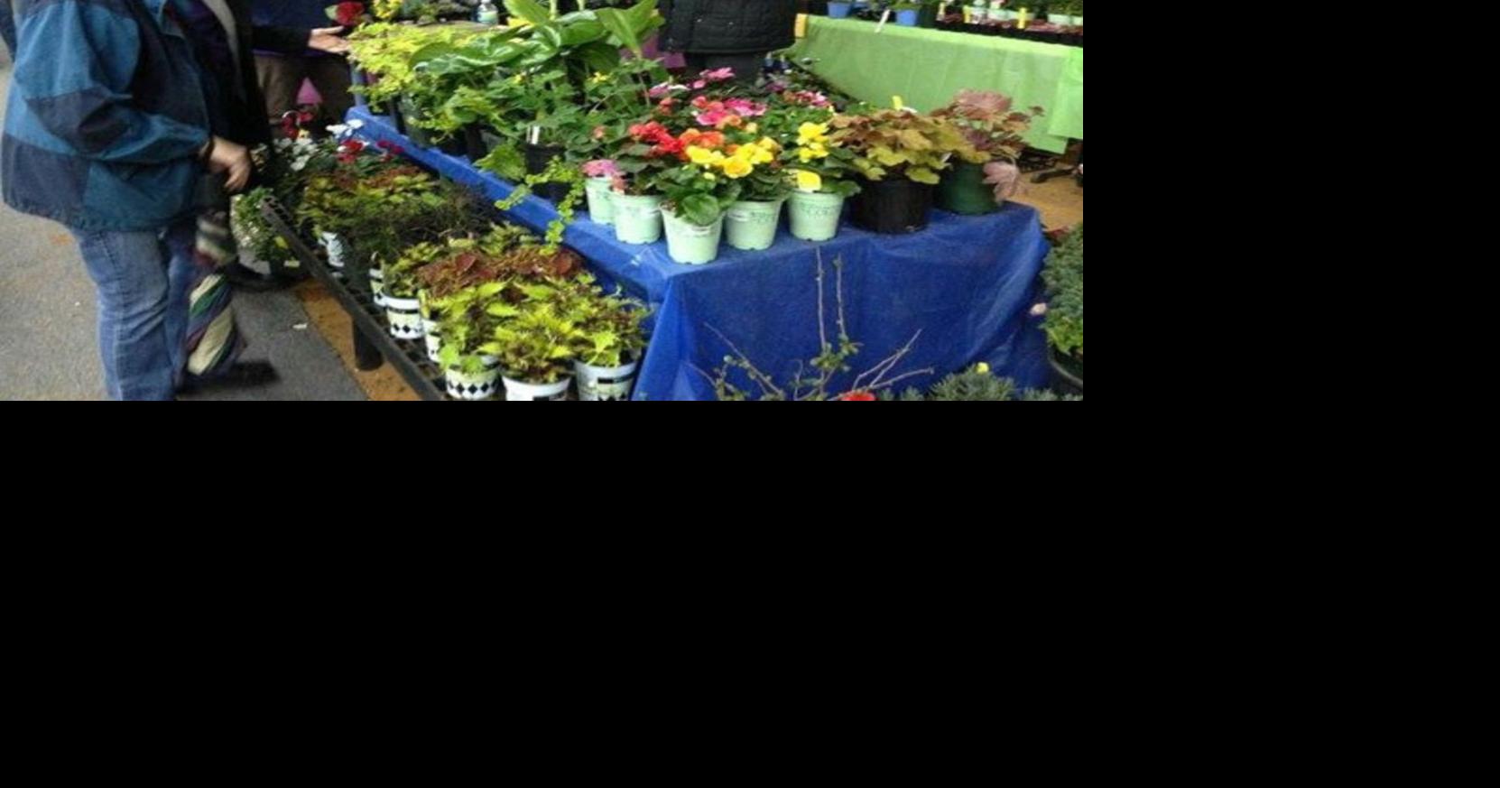 Plant and garden sale showcases 40 vendors | Archives | appenmedia.com