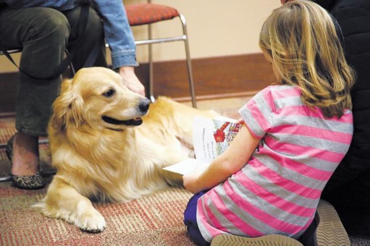 Dogs give children confidence reading | Archives | appenmedia.com