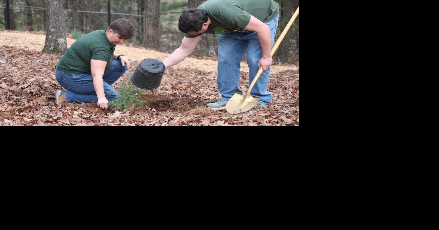 Johns Creek celebrates Arbor Day with planting of baby hemlock tree ...