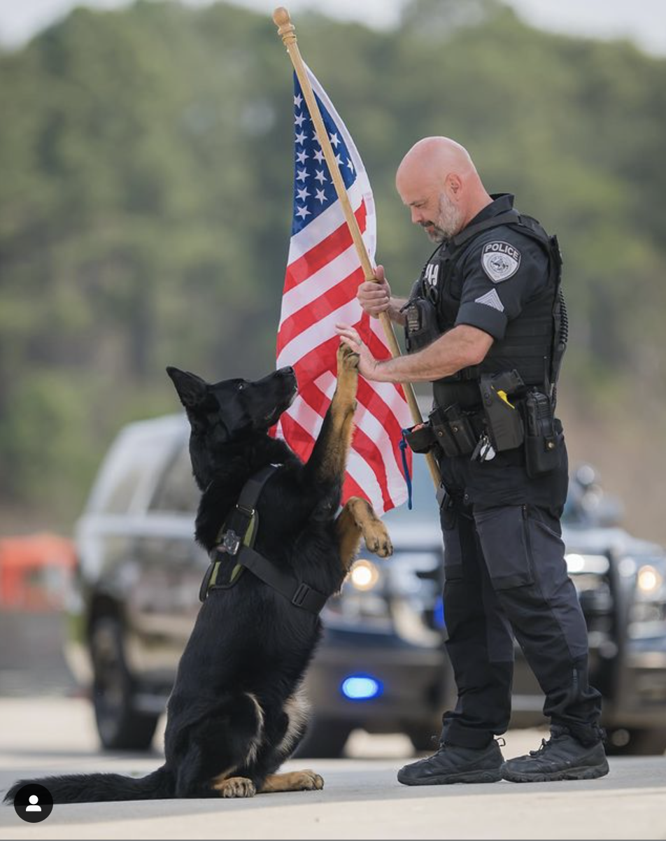 Dog with two tails: Alpharetta's K9 Mattis retires after 5 years ...
