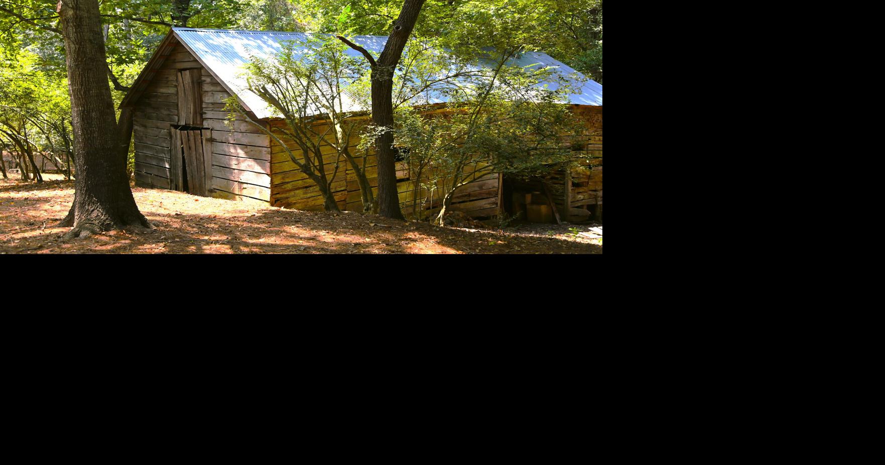 Opinion: The Cagles, a traditional family in rural North Fulton ...