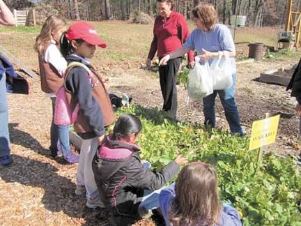 VanderDash is ahead, a runner plans his Eagle project | Columnists ...