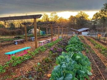 Opinion: Community gardens and agriculture create a fun way to grow ...